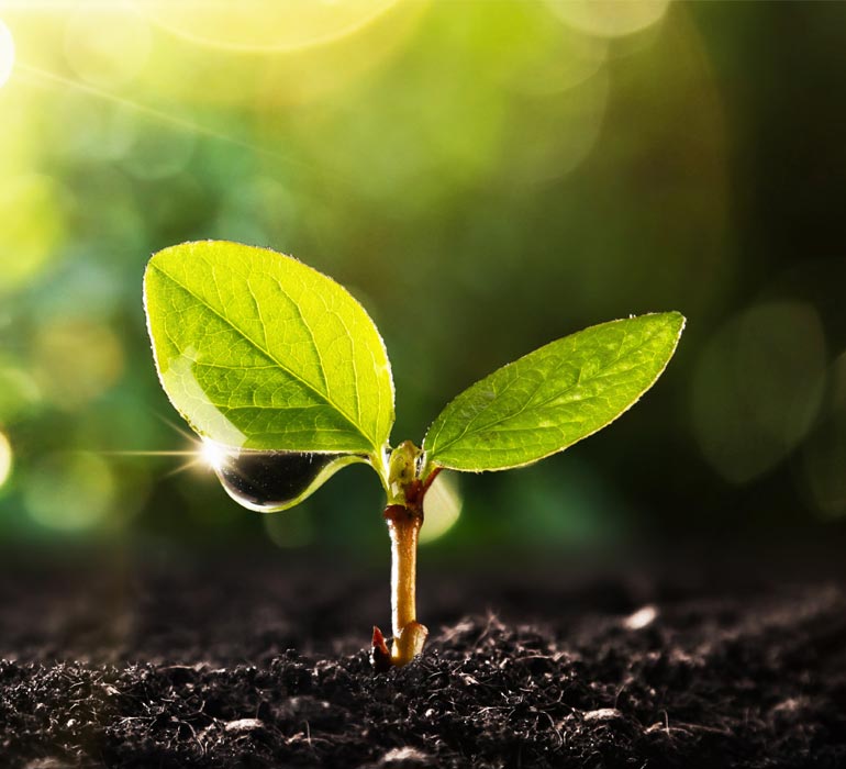 Certificazione dei sistemi di gestione